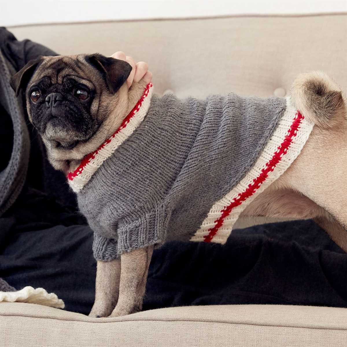 Cozy and Stylish: Knit Your Own Dog Coat with this Free Pattern