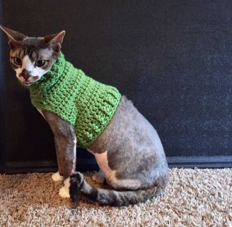 Knit a Cozy Sweater for Your Cat for Free