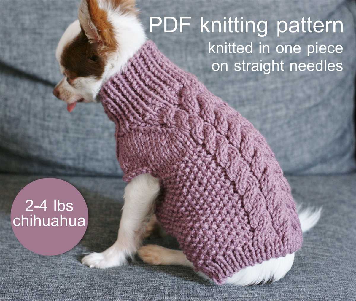 Cozy and Stylish: Knit Your Own Dog Coat with this Free Pattern