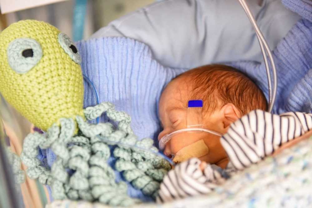 Knit a Tiny Octopus for Preemie Babies - Free Pattern!