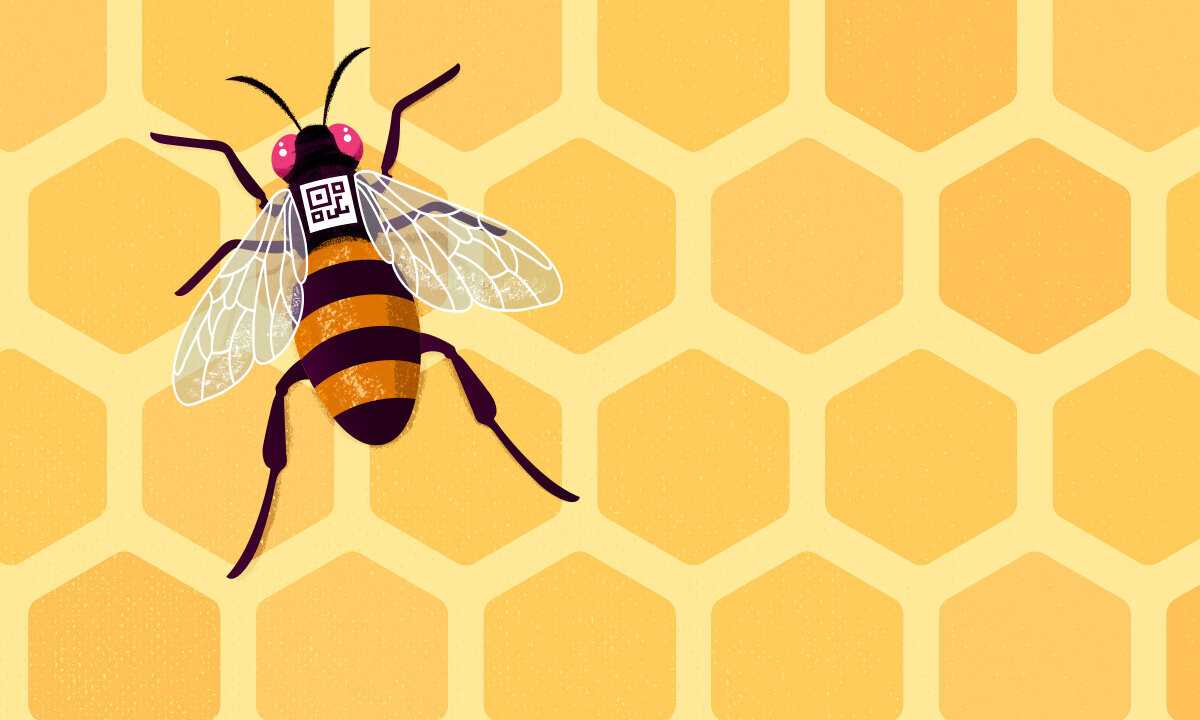 Adorable Knitted Honey Bee Pattern