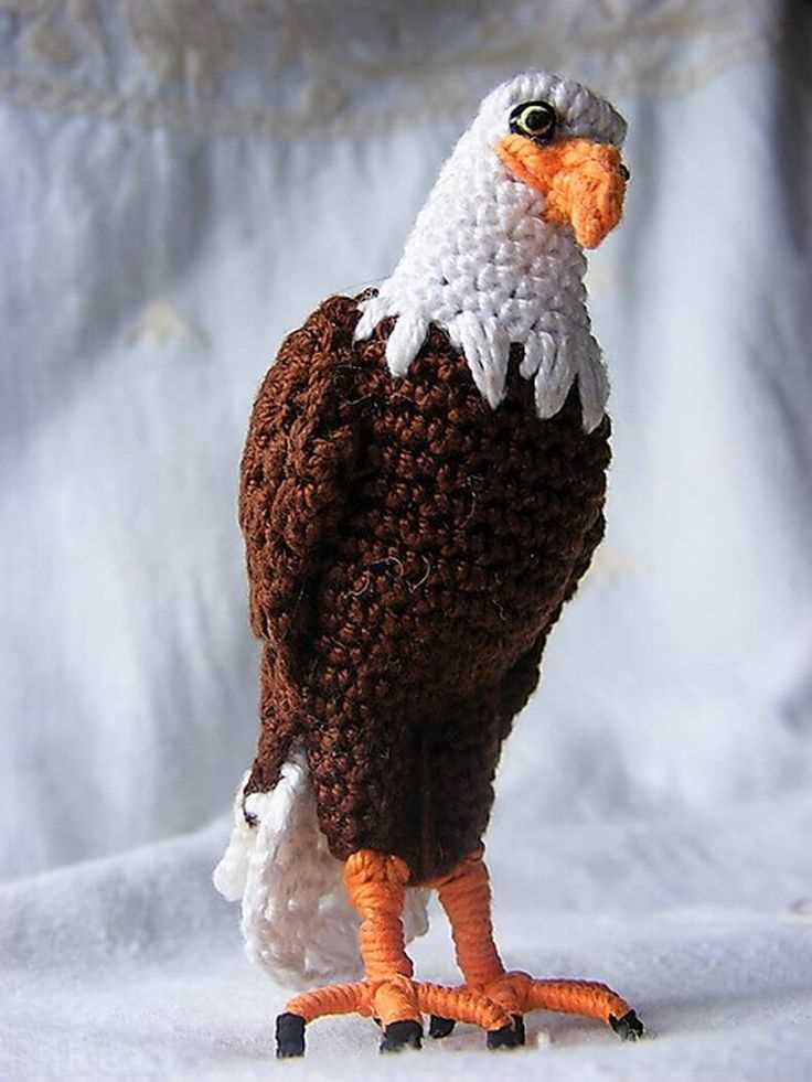 Knit Your Own Philadelphia Eagles: A Unique Pattern for Die-Hard Fans
