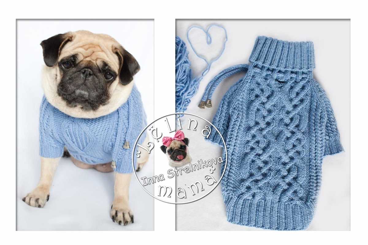 Cozy and Cute: Knit a Pug Sweater