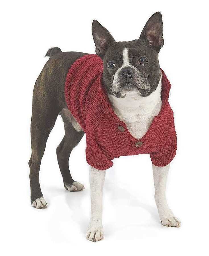 Free Bulldog Knitting Pattern - Create Your Own Adorable Bulldog Companion