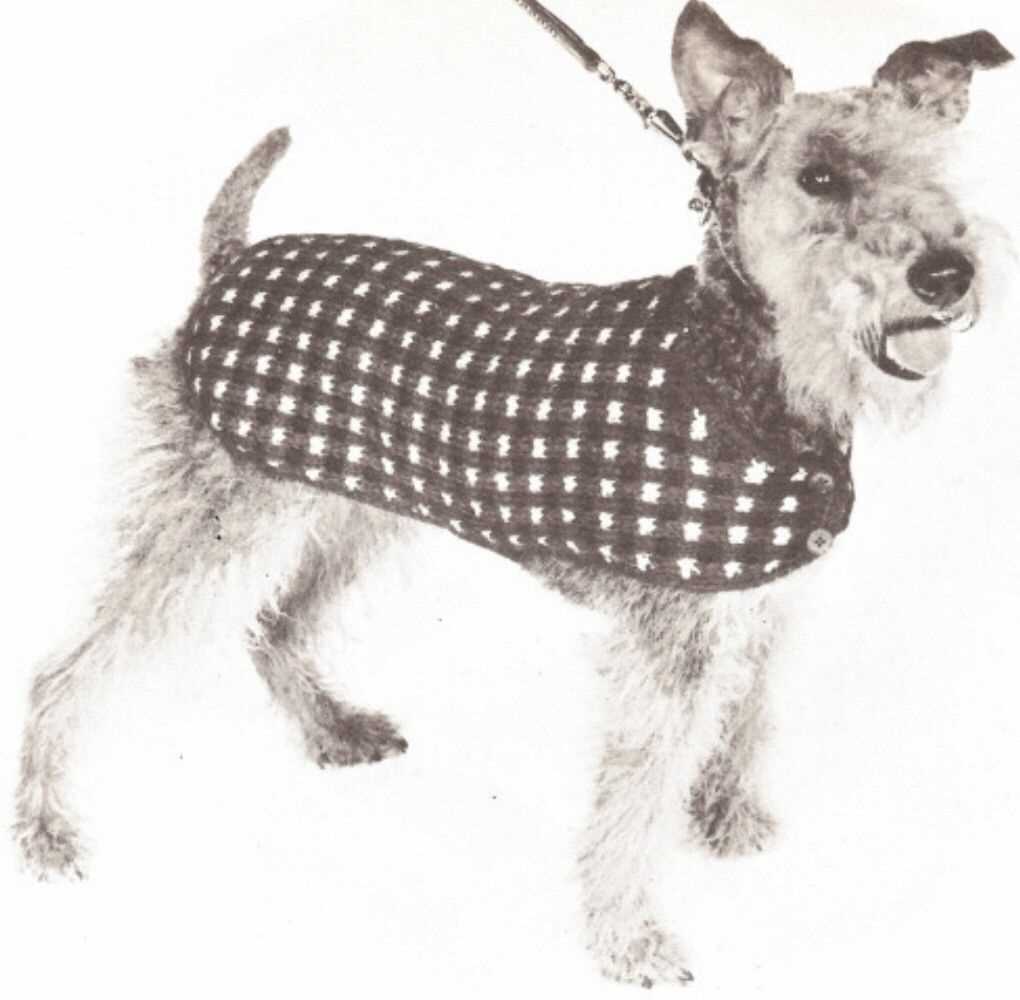 Knit a Stylish Coat for Your Feline Friend