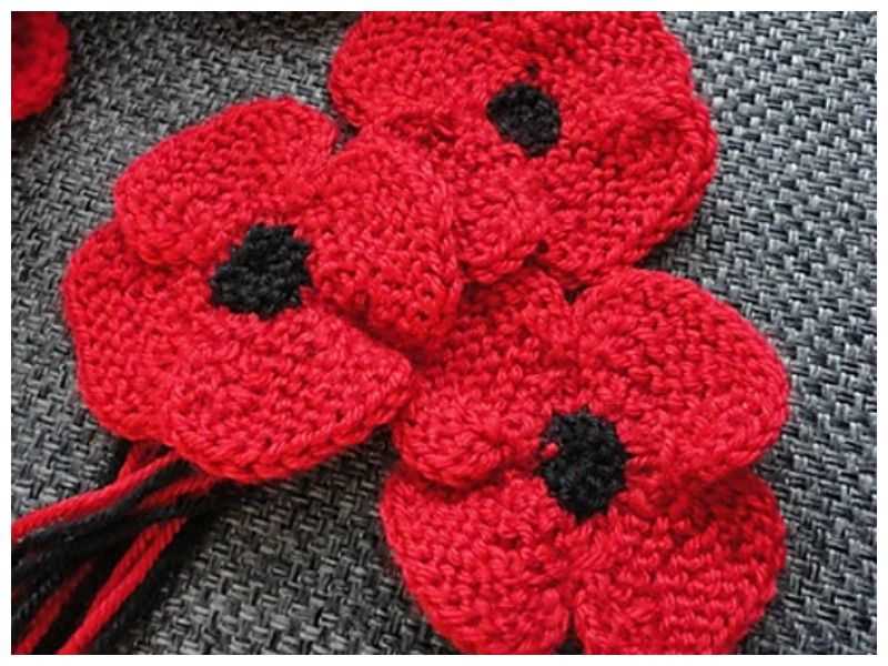Free Pattern for Knitting a Poppy