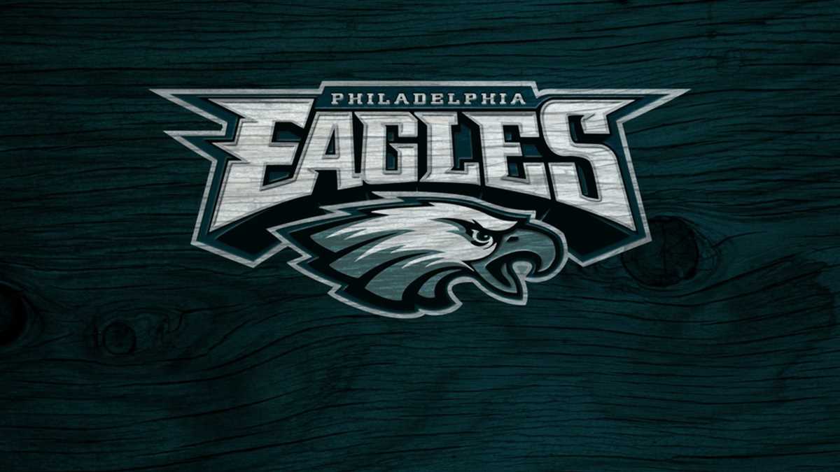 Knit Your Own Philadelphia Eagles: A Unique Pattern for Die-Hard Fans