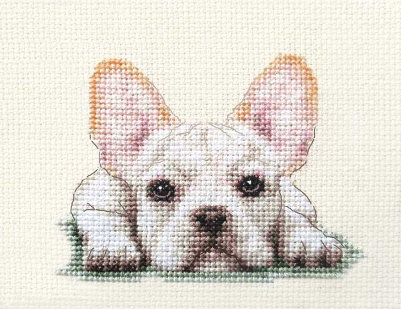 Knit Your Own French Bulldog with this Free Pattern