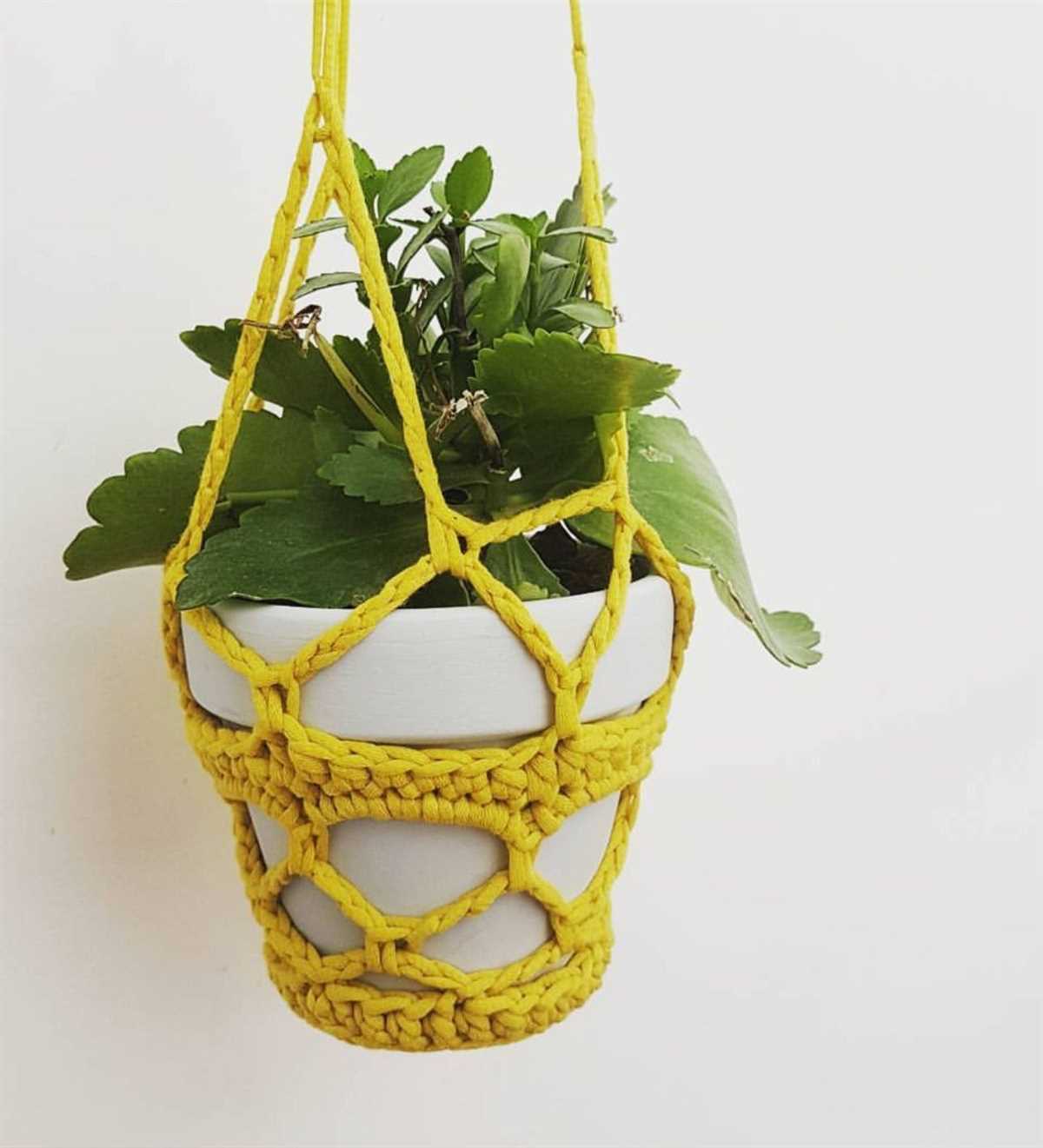 Knit your own plant hanger for free