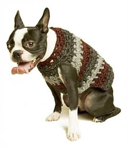 Free Bulldog Knitting Pattern - Create Your Own Adorable Bulldog Companion
