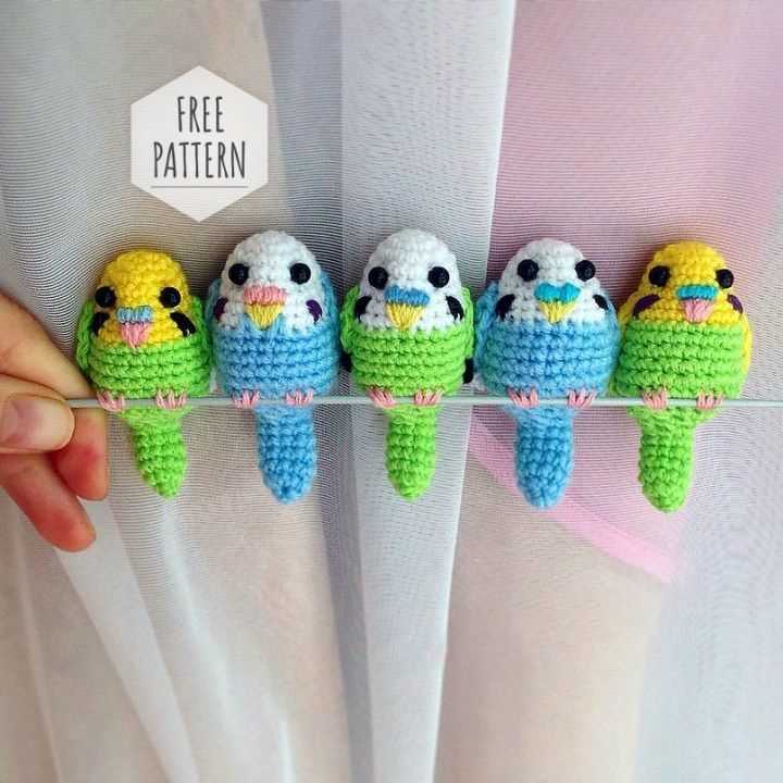 How to Create Your Own Knitted Budgie: Step-by-Step Guide