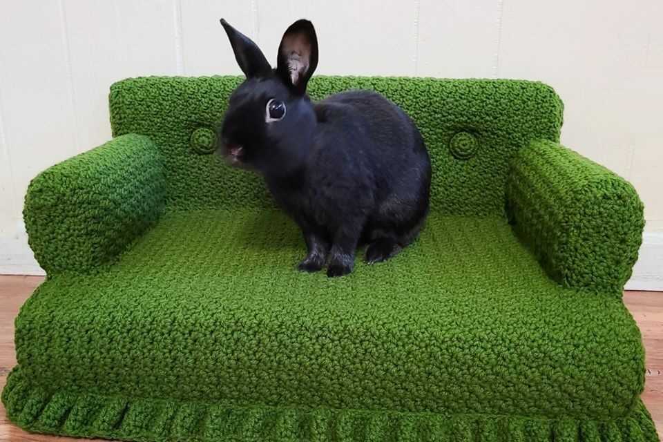 Homemade Cozy Couch for Cats: Download a Free Knitting Pattern