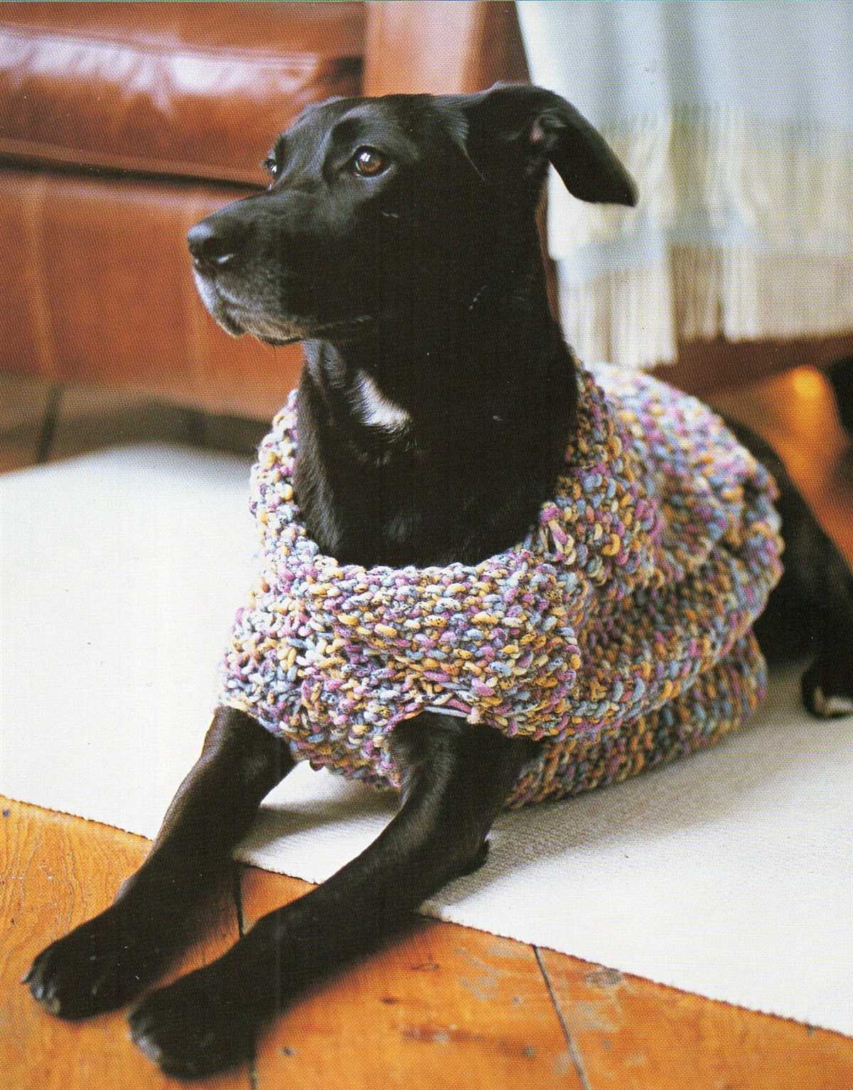 Cozy Knit: A Pattern for Chunky Dog Sweaters